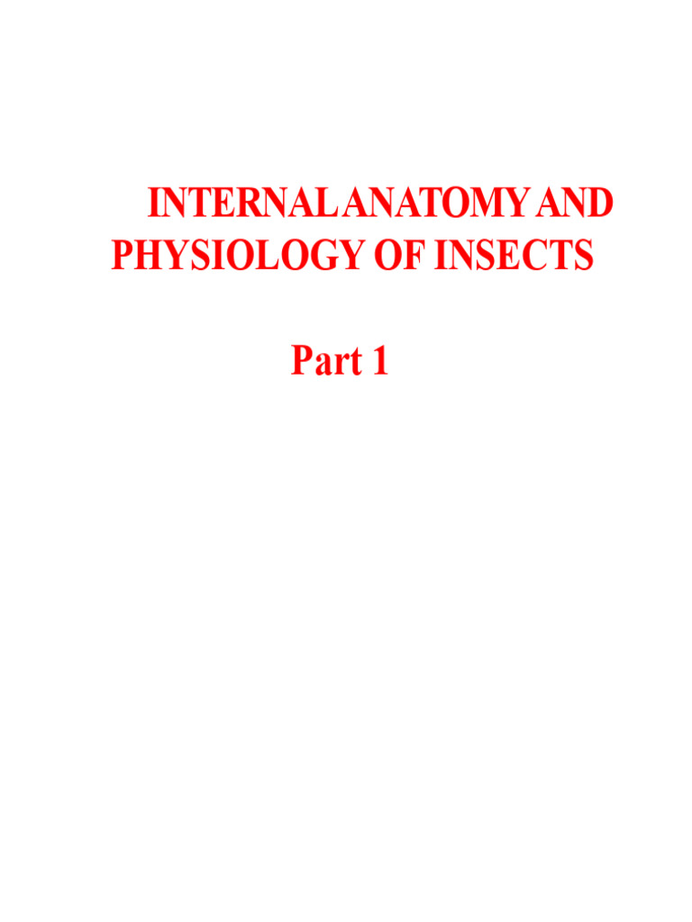Internal Anatomy and Physiology of Insects Part 1 | PDF | Epithelium ...