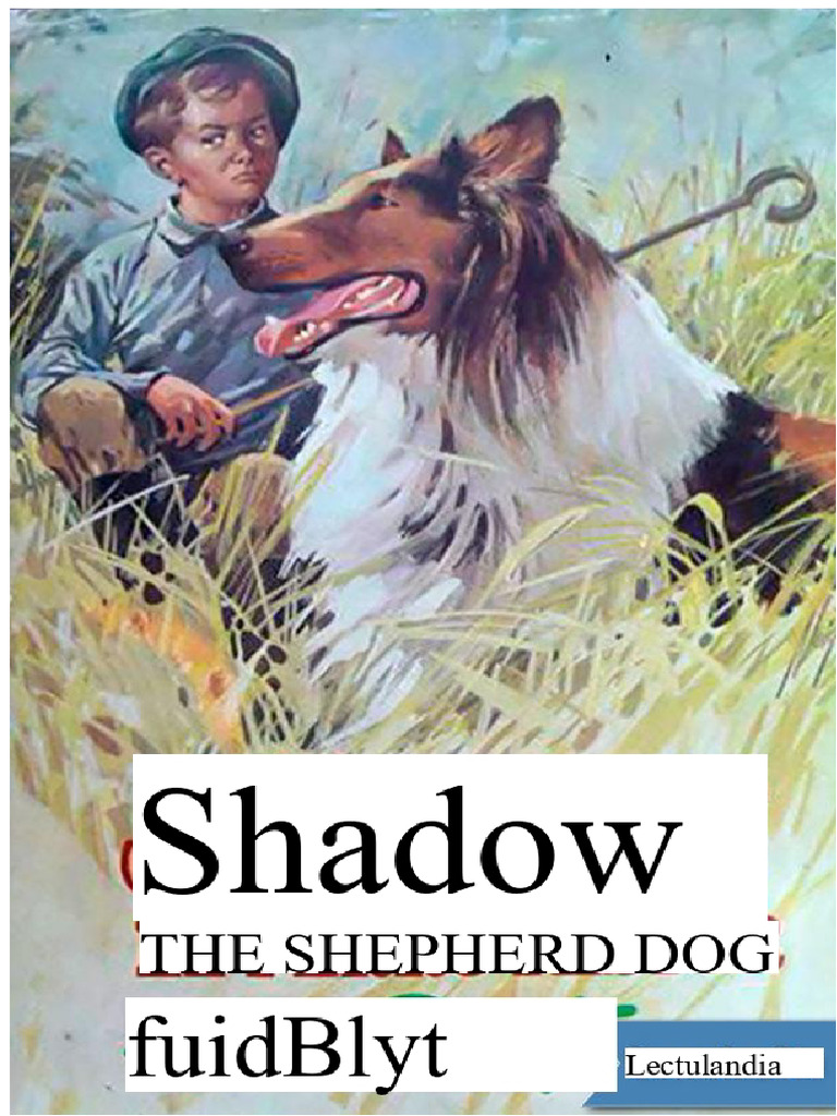 Shadow The Shepherd Dog - Enid Blyton PDF | PDF | Sheep | Shepherd