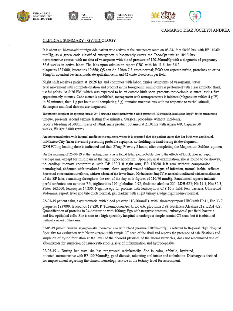 Clinical Summary: Eclampsia Case Study | PDF | Childbirth | Blood Pressure