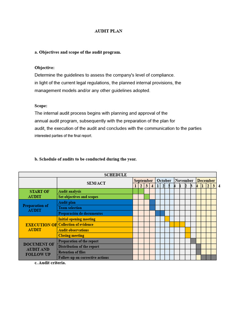 AUDIT PLAN | PDF | Audit | Internal Audit