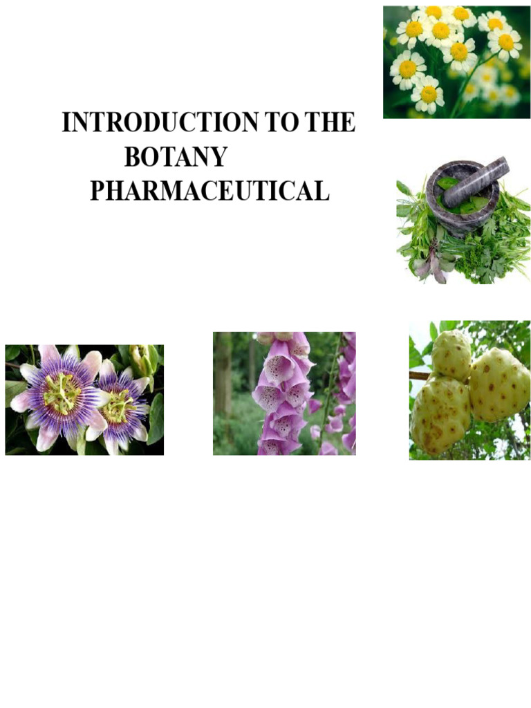 Introduction to Pharmaceutical Botany | PDF | Botany | Plants