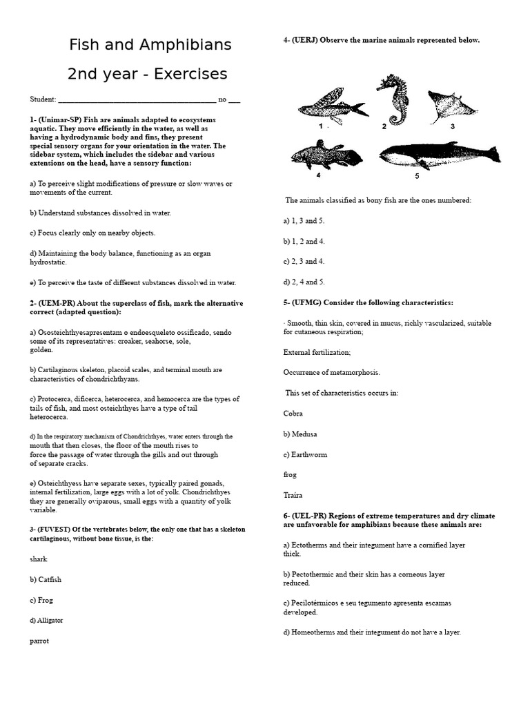 Fish and Amphibians - Exercises | PDF | Amphibian | Fish