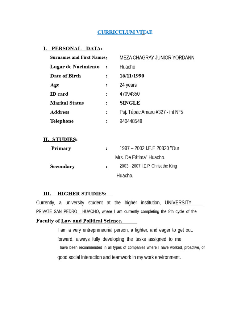 Curriculum Junior Meza | PDF | Practice Of Law | Public Law