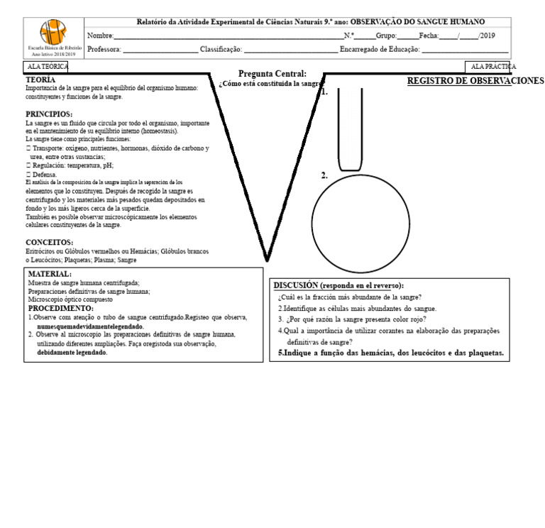 AP2 Observación de La Sangre Informe VGowin | PDF | Sangre | Fisiologia ...