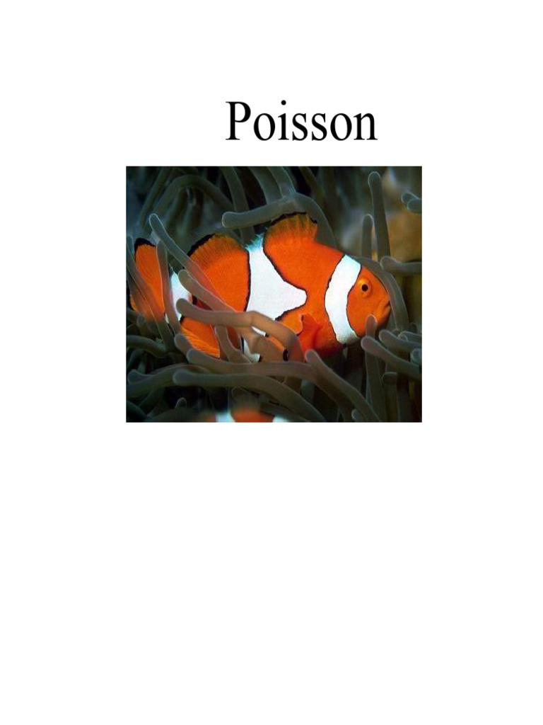 Classification et caractéristiques des poissons | PDF | Poisson | Zoologie