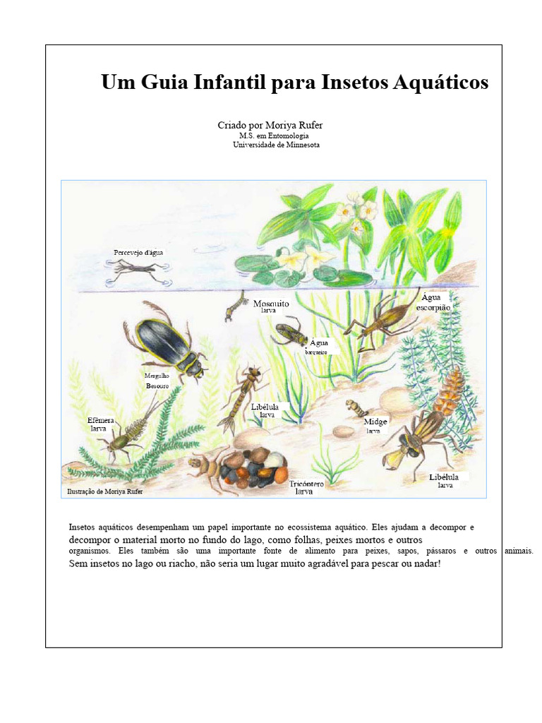 Insetos Aquáticos: Guia Infantil | PDF | Mosquito | Insetos