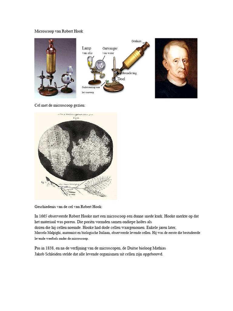 Microscoop Van Robert Hooke | PDF
