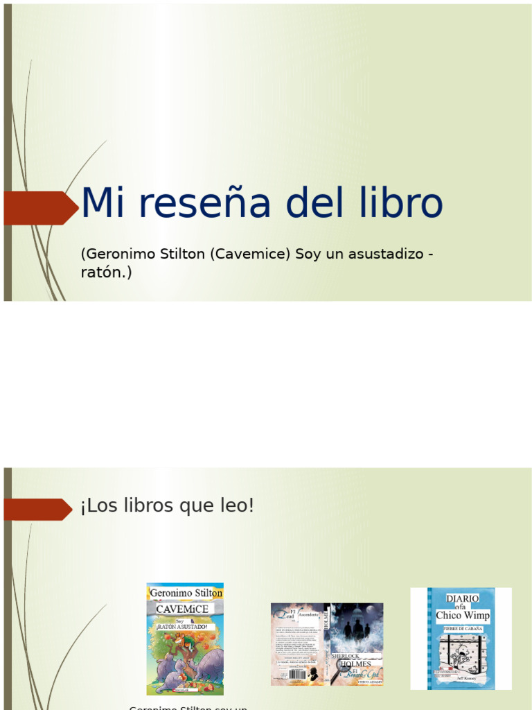 Mi Reseña de Libro | PDF