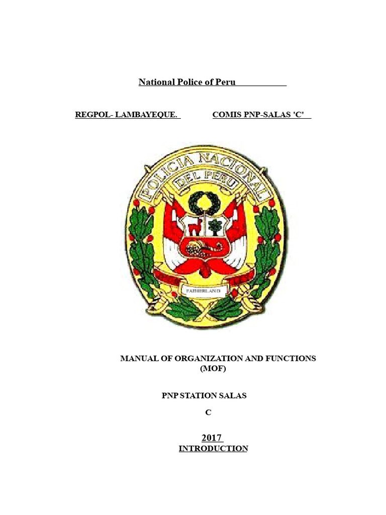 Manual Organization and Functions Police Station PNP Salas 1 | PDF ...