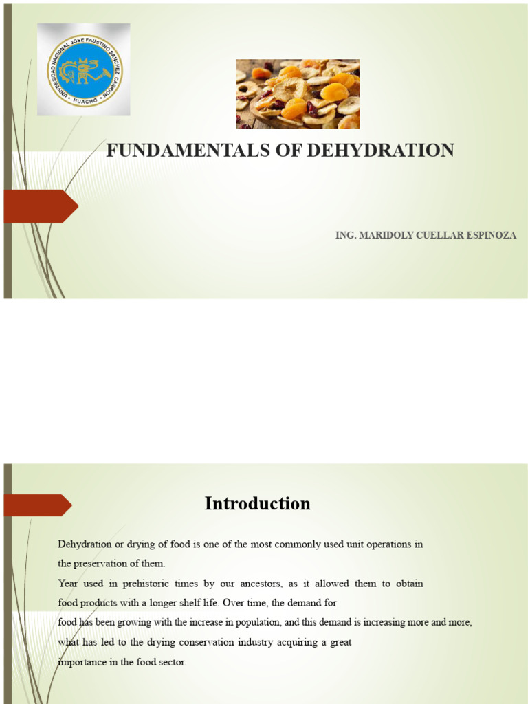 Dehydration Techniques for Food Preservation | PDF
