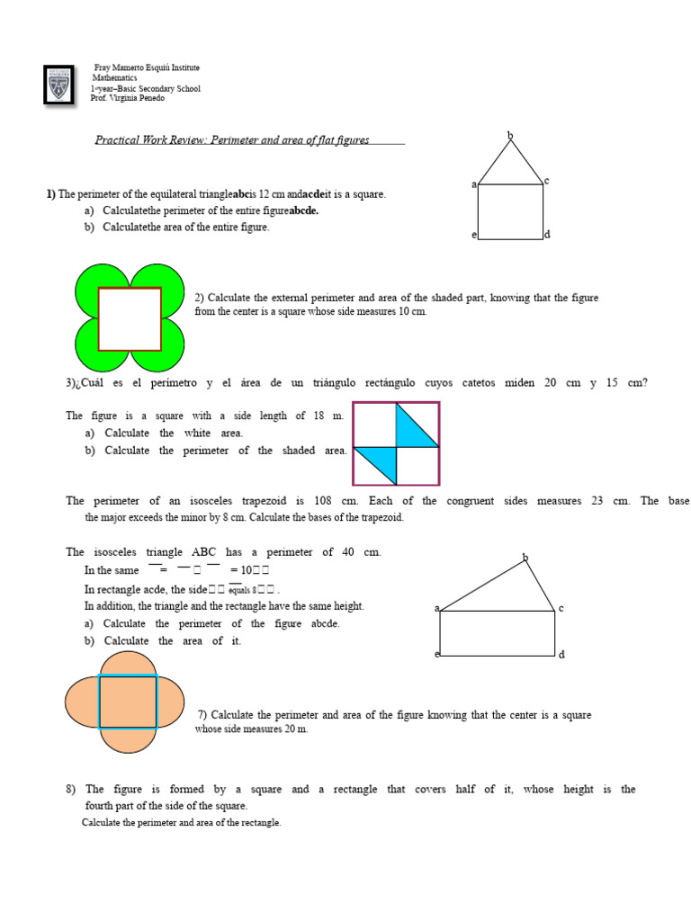 Practical Work Area and Perimeter | PDF | Area | Rectangle