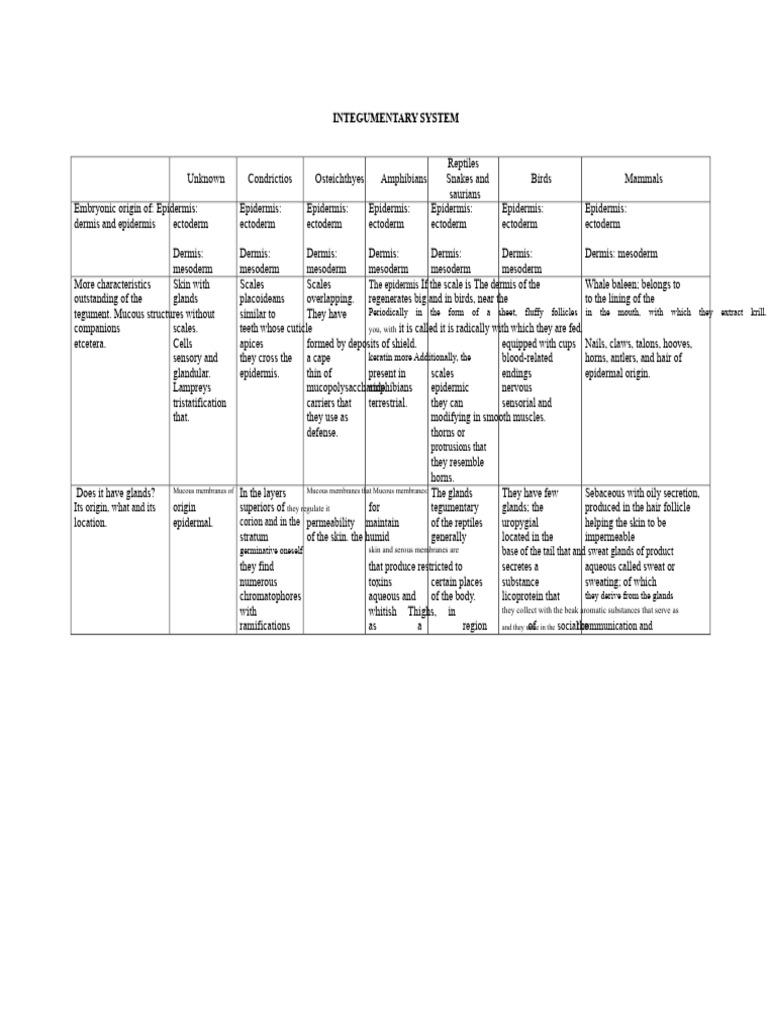 Integumentary System Chart | PDF | Skin | Integumentary System