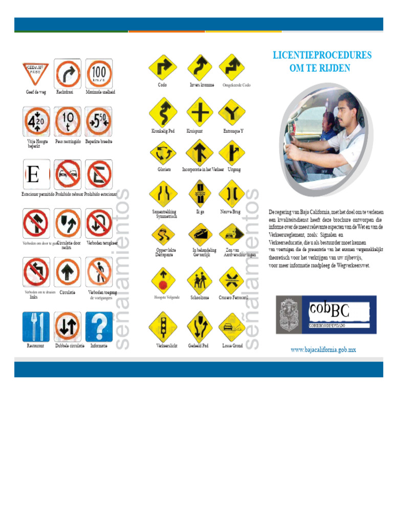 Req Lic Triptico | PDF