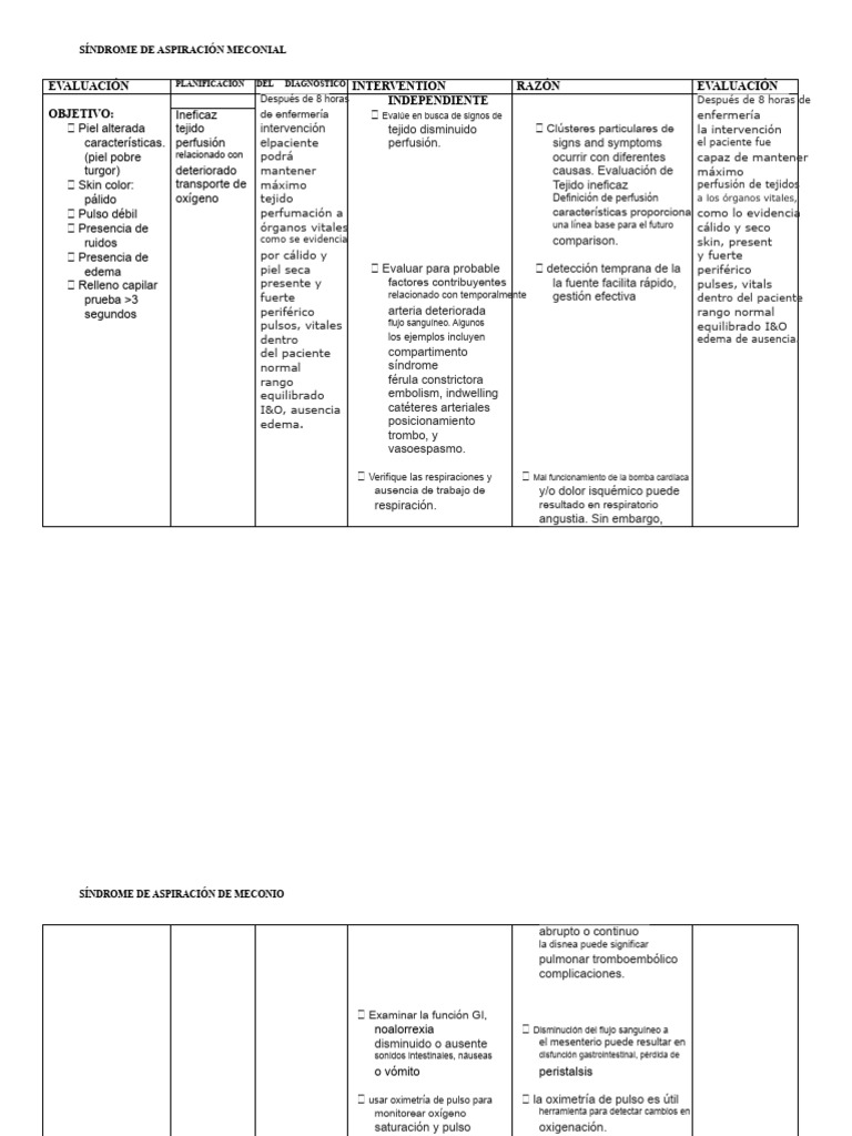 síndrome de aspiración de meconio NCP | PDF | Legumbres | Isquemia