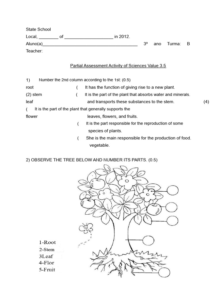 3rd Grade Science Activity Assessment Activity | PDF | Plants | Vertebrates