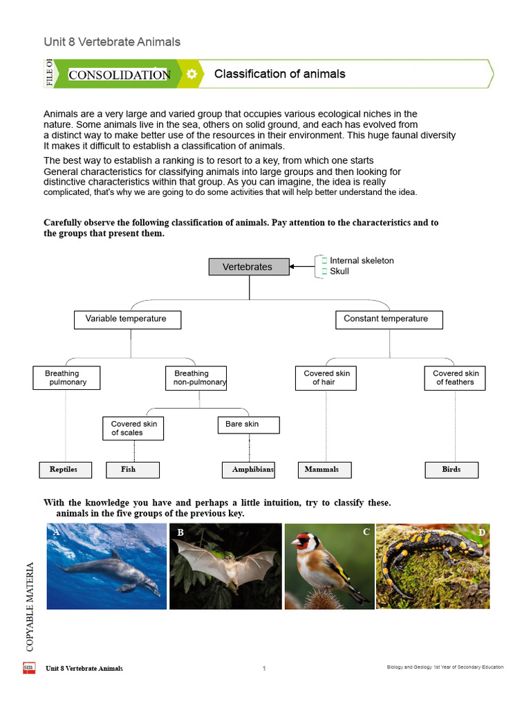 vertebrate animals 1st ESO evaluation exercise | PDF | Vertebrates | Skin