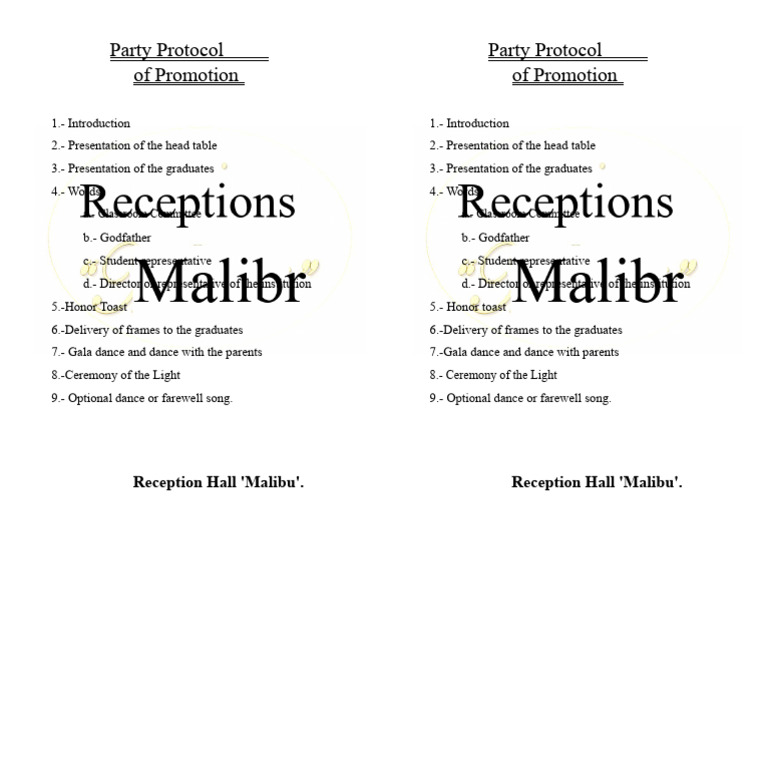Promotion Party Protocol (1) | PDF