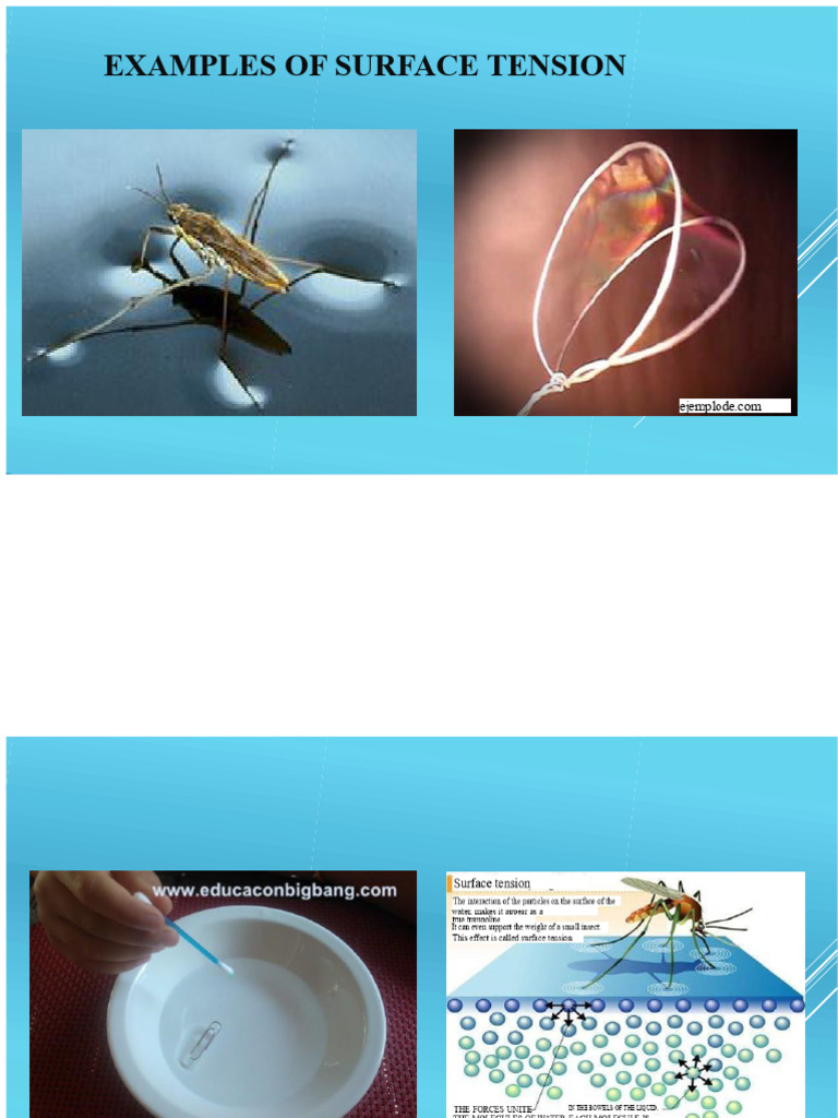Surface Tension and Pressure Calculations | PDF