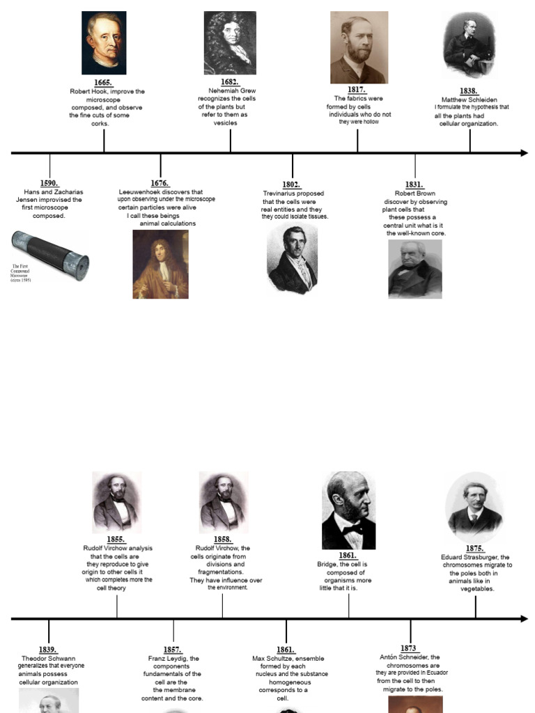 Timeline Cellular Theory | PDF | Cell (Biology) | Anatomy
