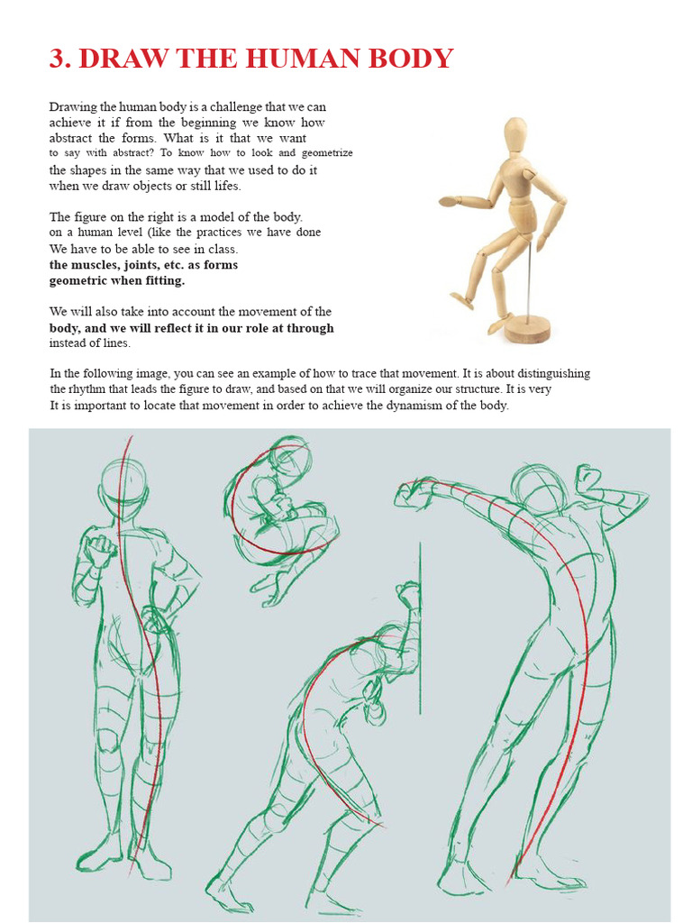 Drawing Manual. Chapter 3. Drawing the Human Body | PDF | Shape