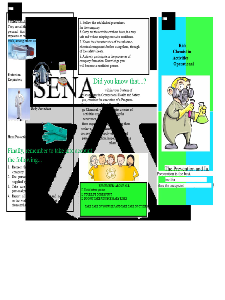 Chemical Risk Management Guidelines | PDF | Toxicity | Dangerous Goods
