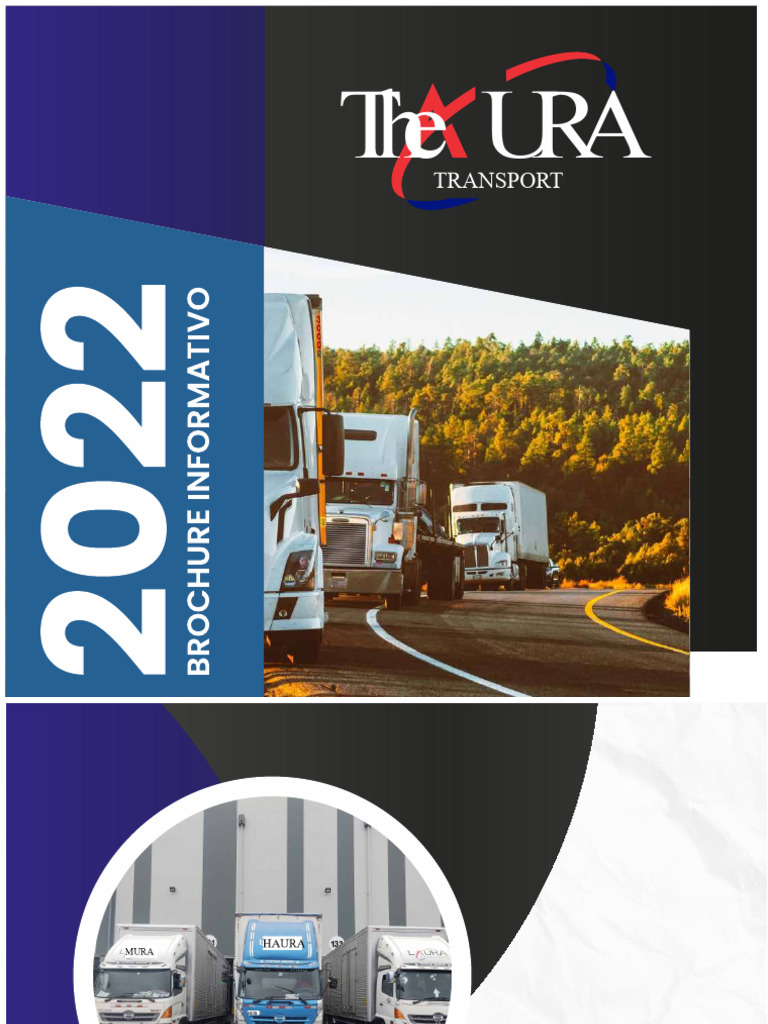 Reliable Cargo Transport in Peru | PDF