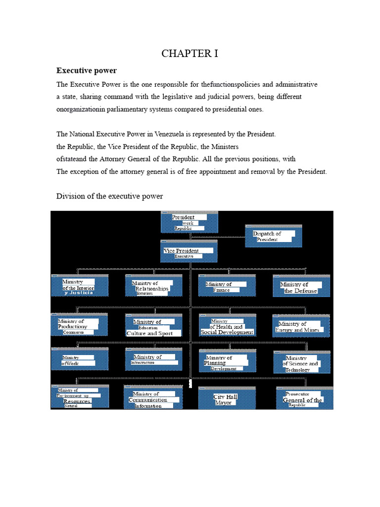 Executive Power | PDF | Presidents Of The United States | American ...
