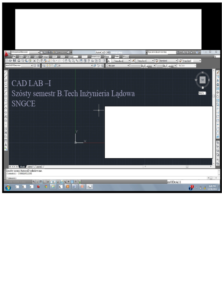 Auto CAD | PDF