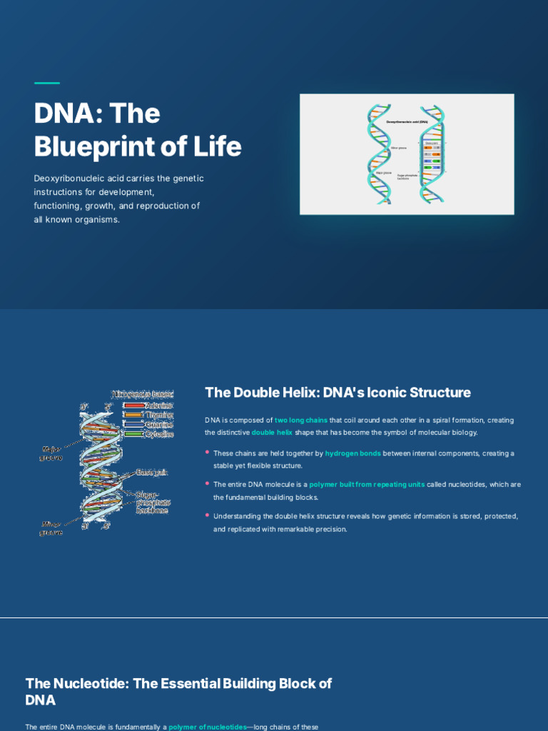 DNA__The_Blueprint_of_Life | PDF | Dna | Nucleotides