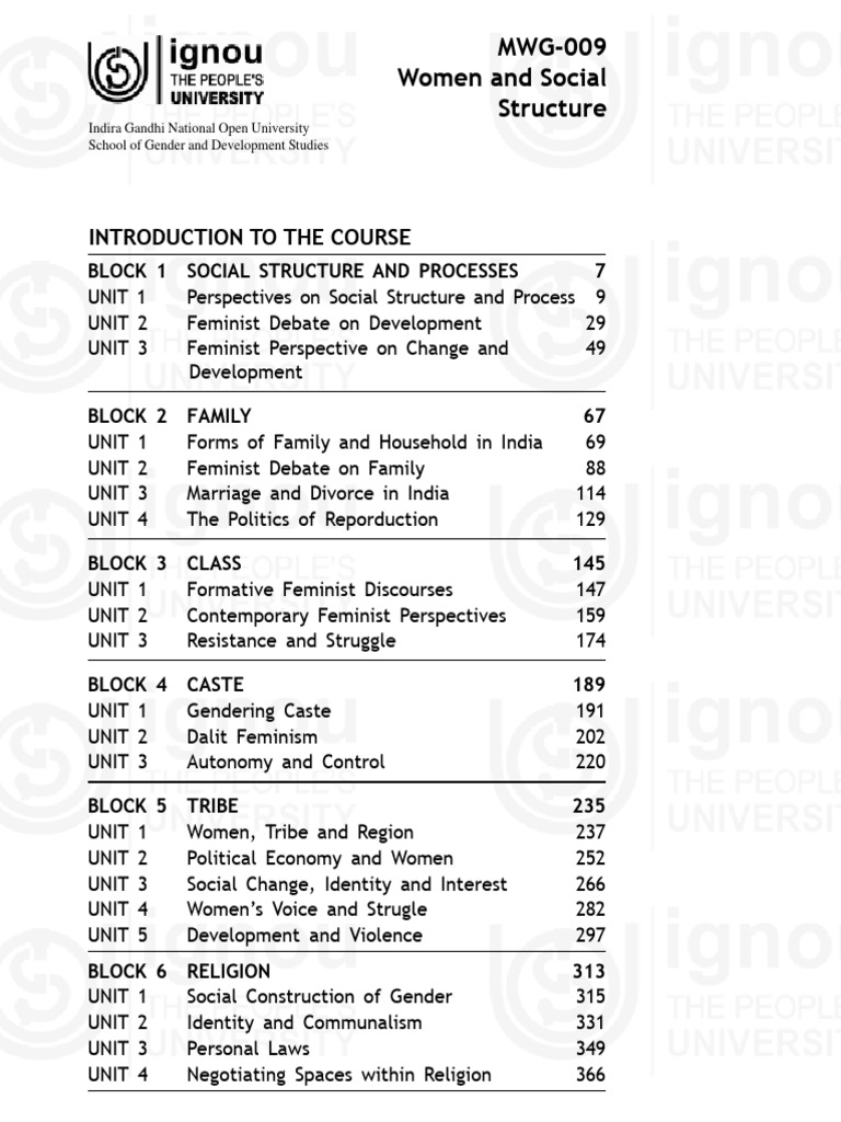 Women and Social Structure Course Overview | PDF | Socialization ...