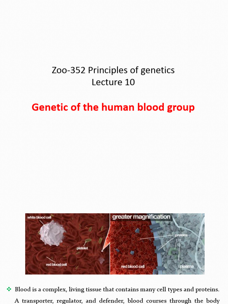 Human Blood Group Genetics Explained | PDF | Zygosity | Dominance ...