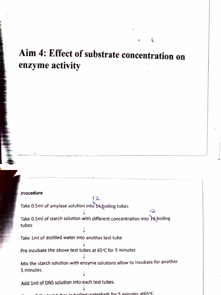 Biochemistry Practical 7 | PDF