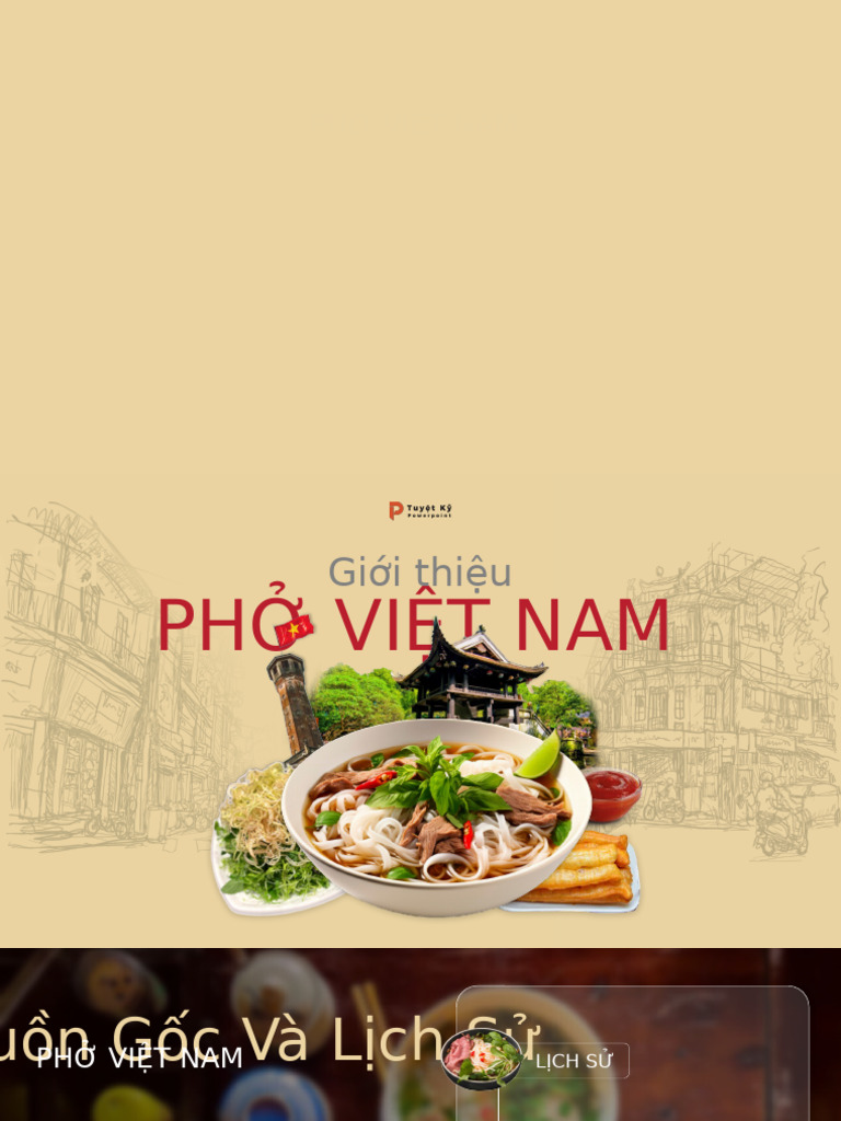 Bao Lam Pho Vietnam TNHN | PDF