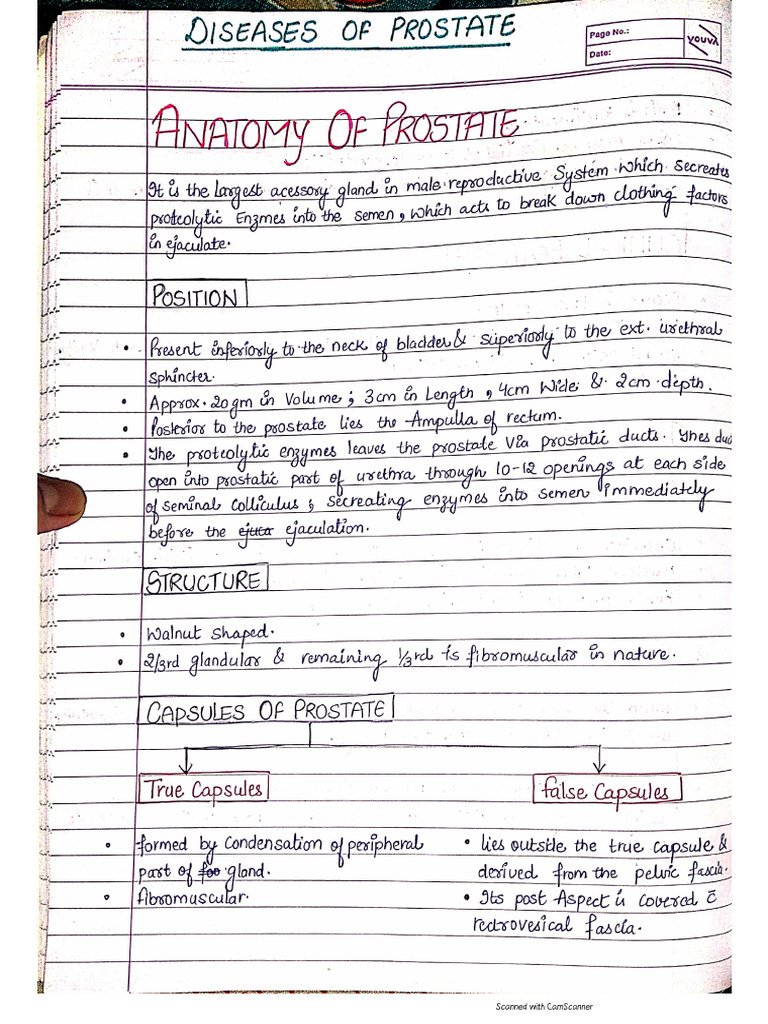 Diseases of Prostate | PDF