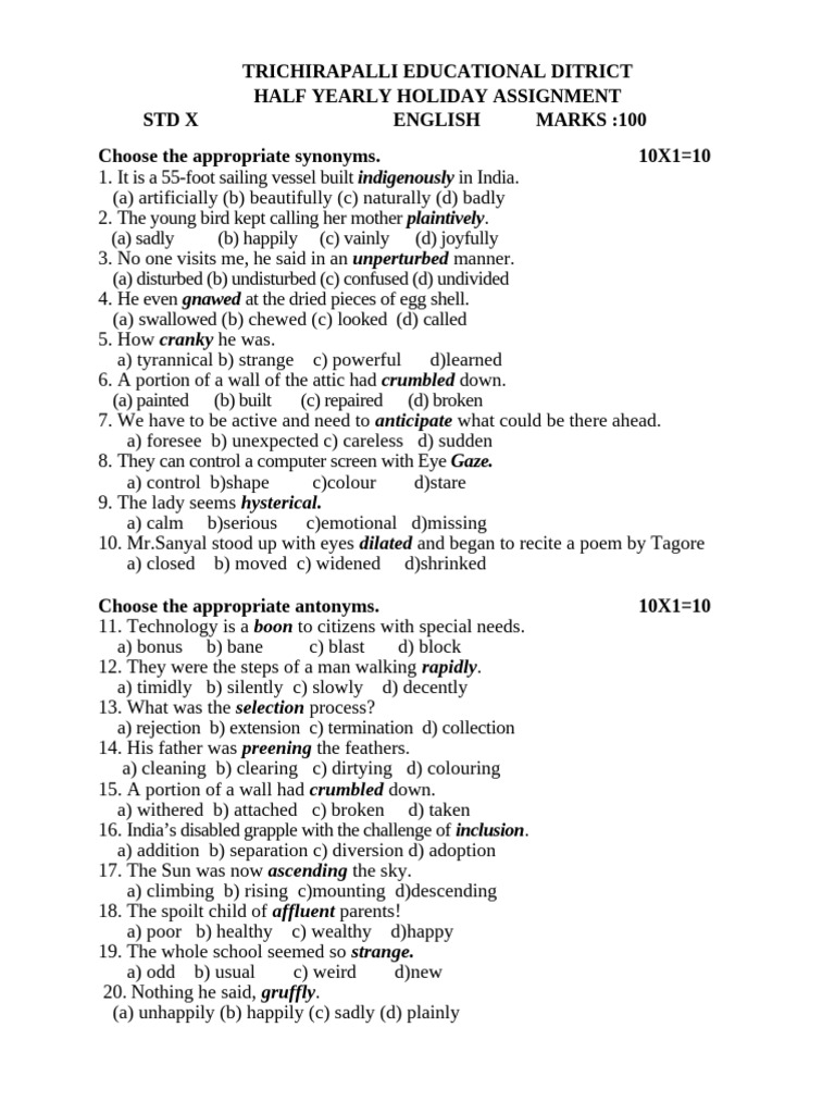 Trichirappalli Std X English Assignment | PDF | Linguistics
