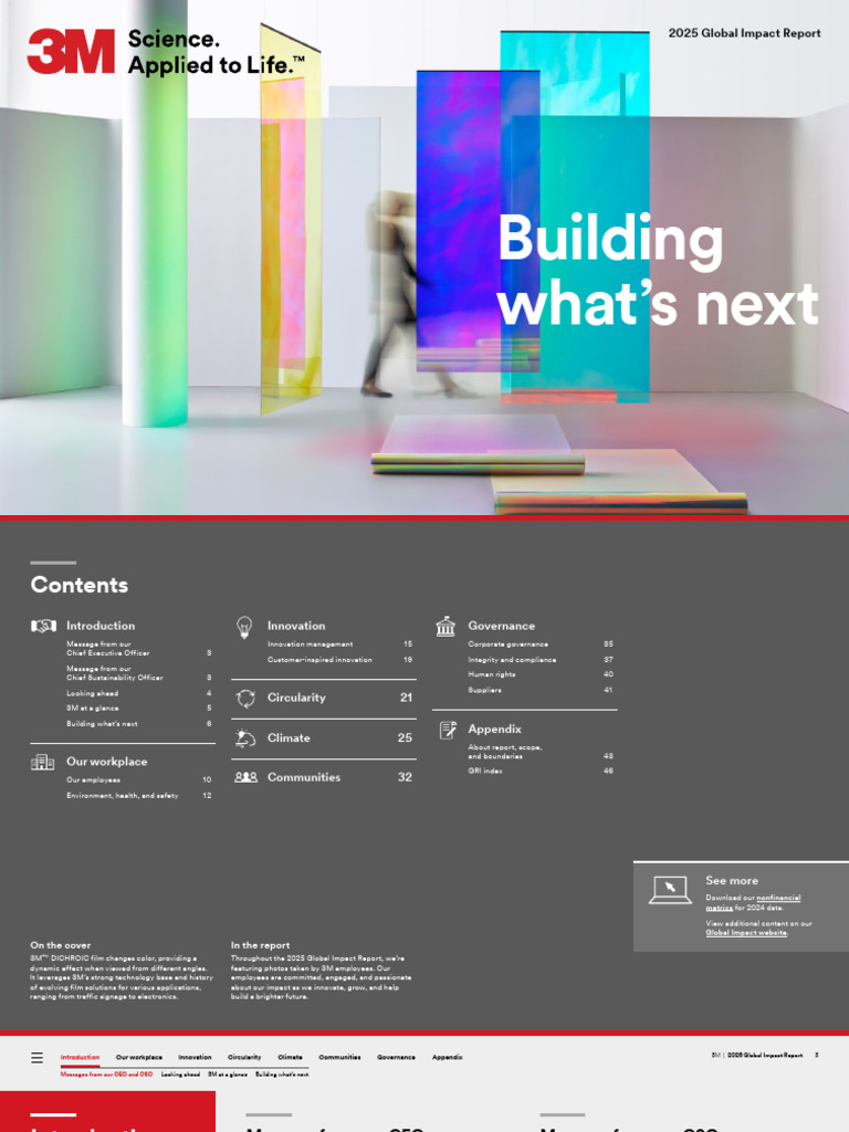 3m 2025 Global Impact Report | PDF | Sustainability | Employment
