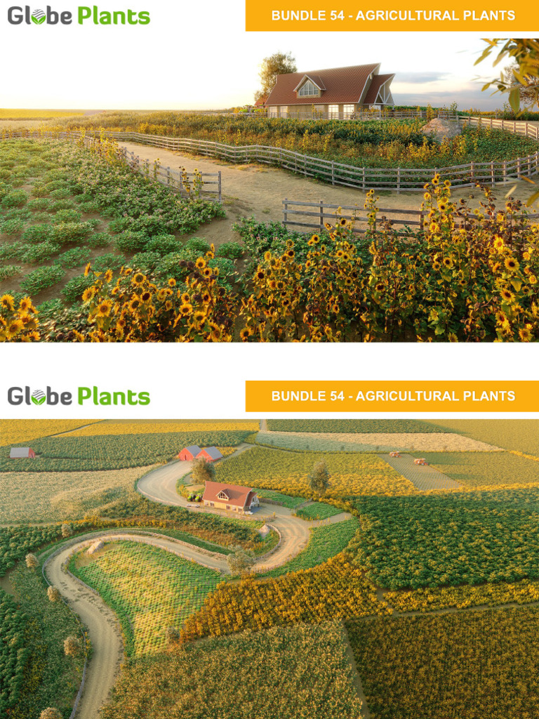 GBPLB0054 Bundle54 Agricultural Plants | PDF
