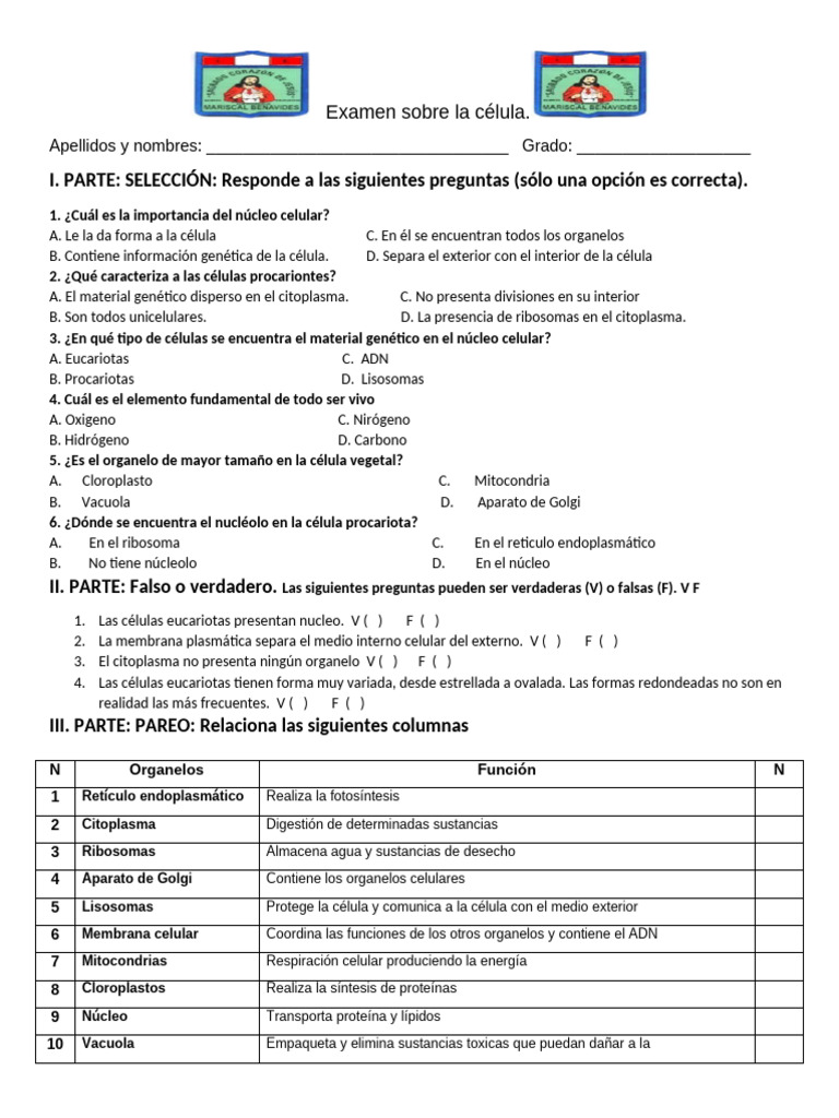Examen de Célula | PDF | Citoplasma | Biología Celular)