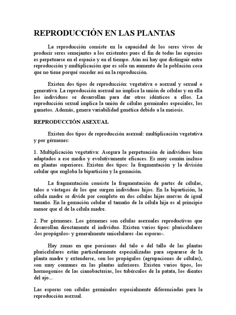 REPRODUCCIÓN EN LAS PLANTAS | Espora | Reproducción