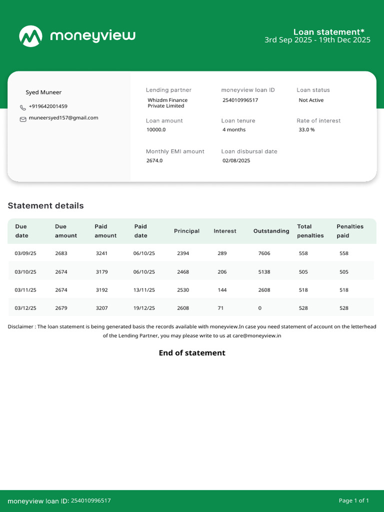 Loan Statement Summary for Syed Muneer | PDF | Banking | Financial ...