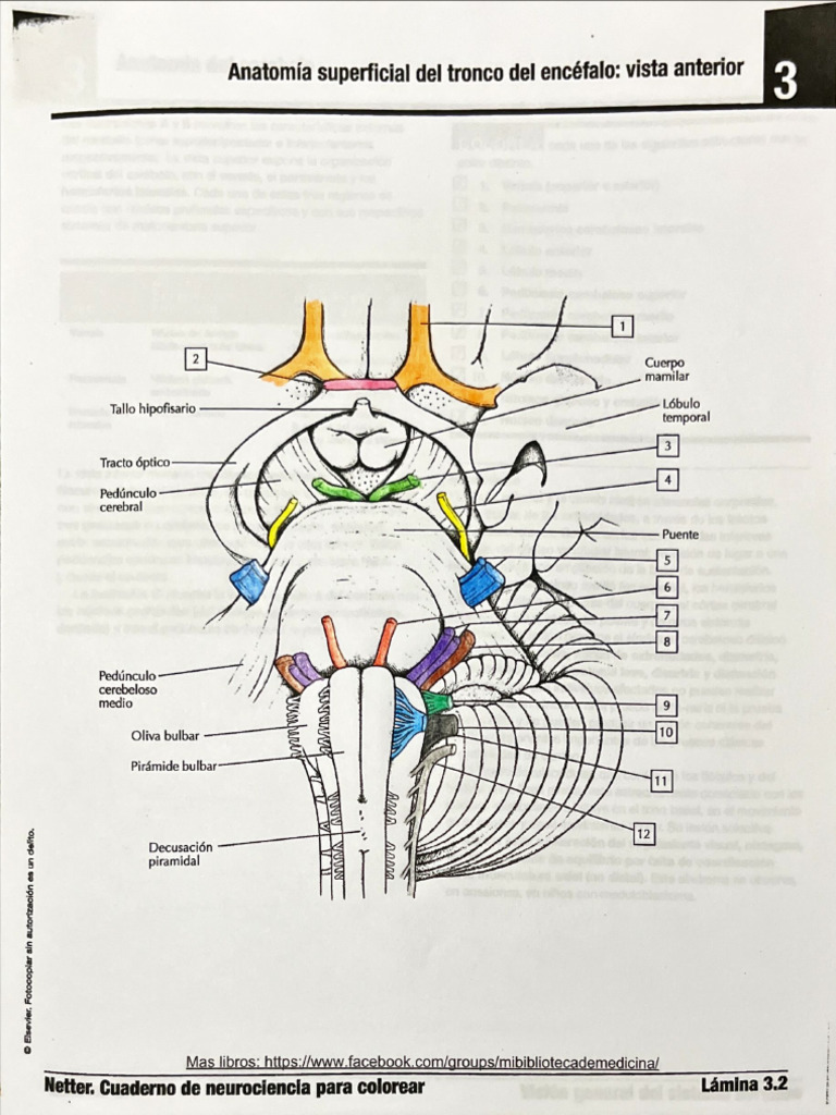 9-25-24, 9:17 p.m. Microsoft Lens | PDF