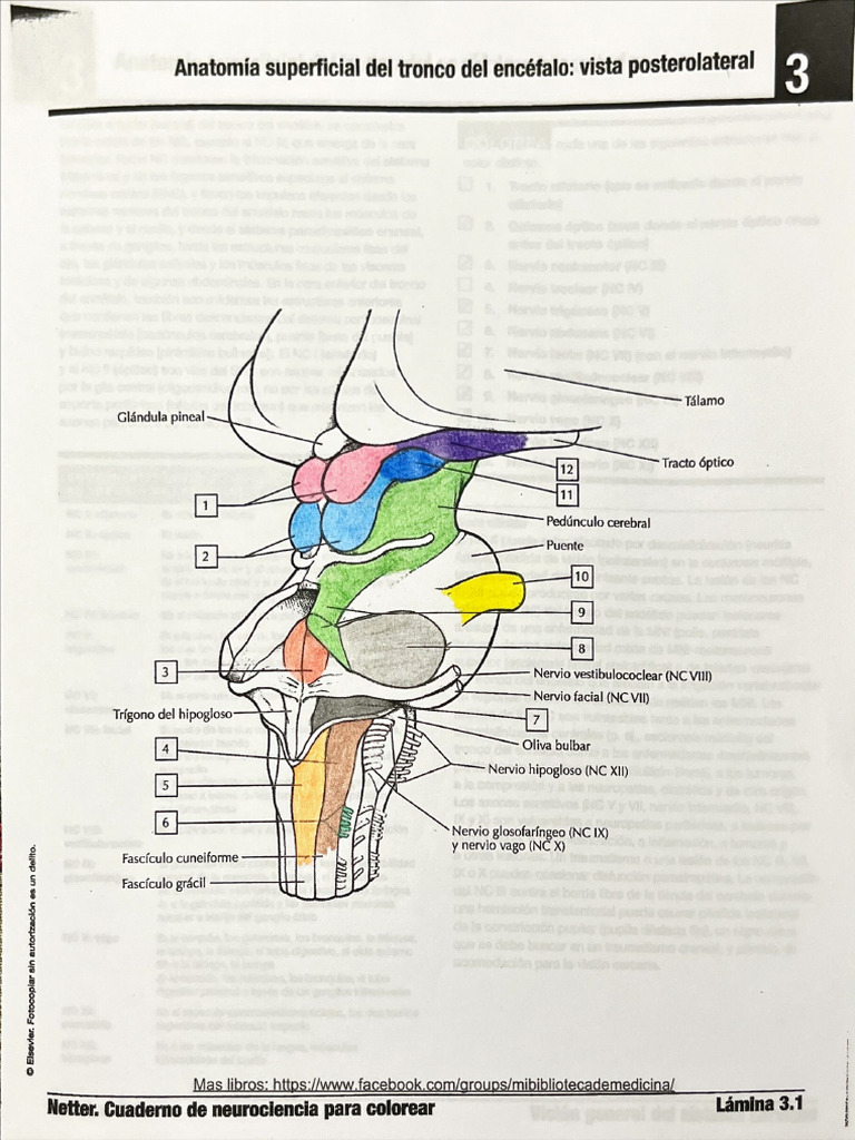 9-25-24, 9:15 p.m. Microsoft Lens | PDF
