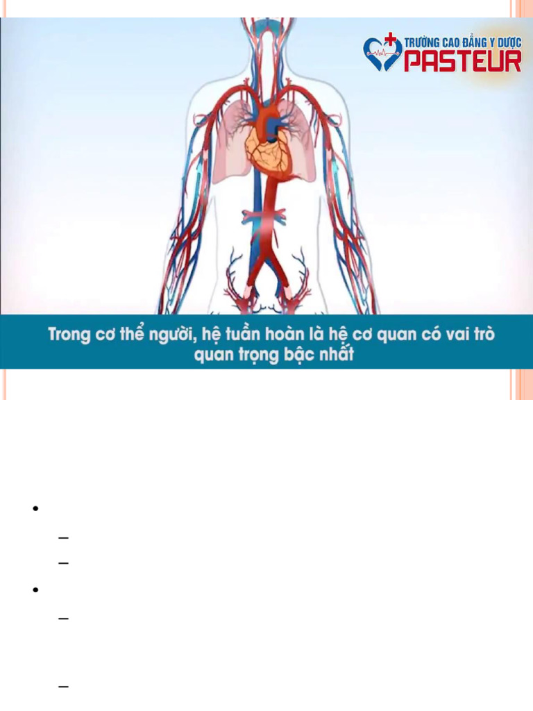 Sinh Ly Tim Mach Y2 FINAL2021 | PDF