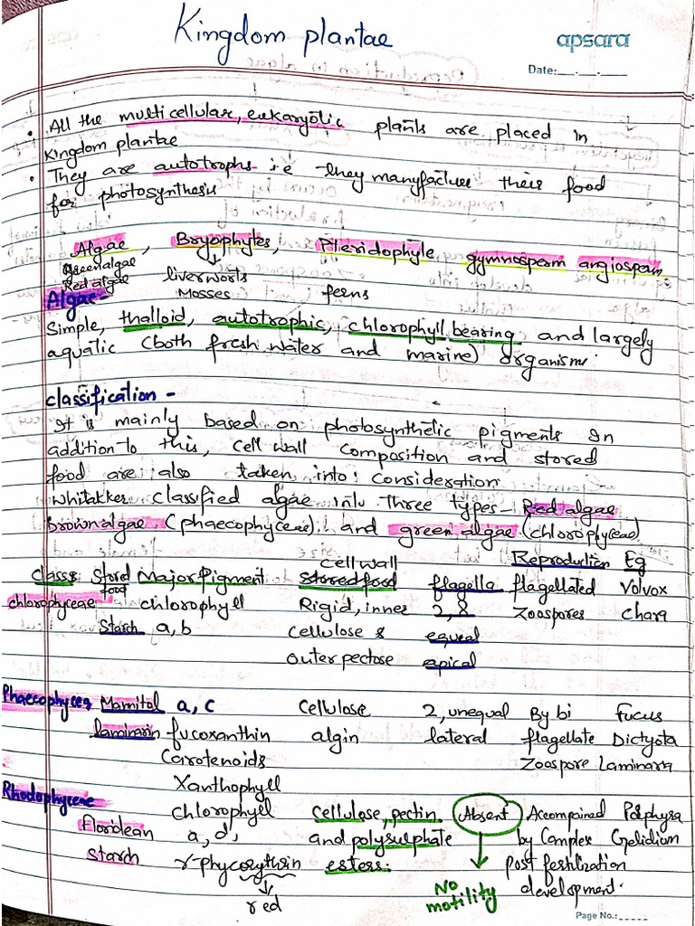 Kingdom Plantae Full Short Notes | PDF