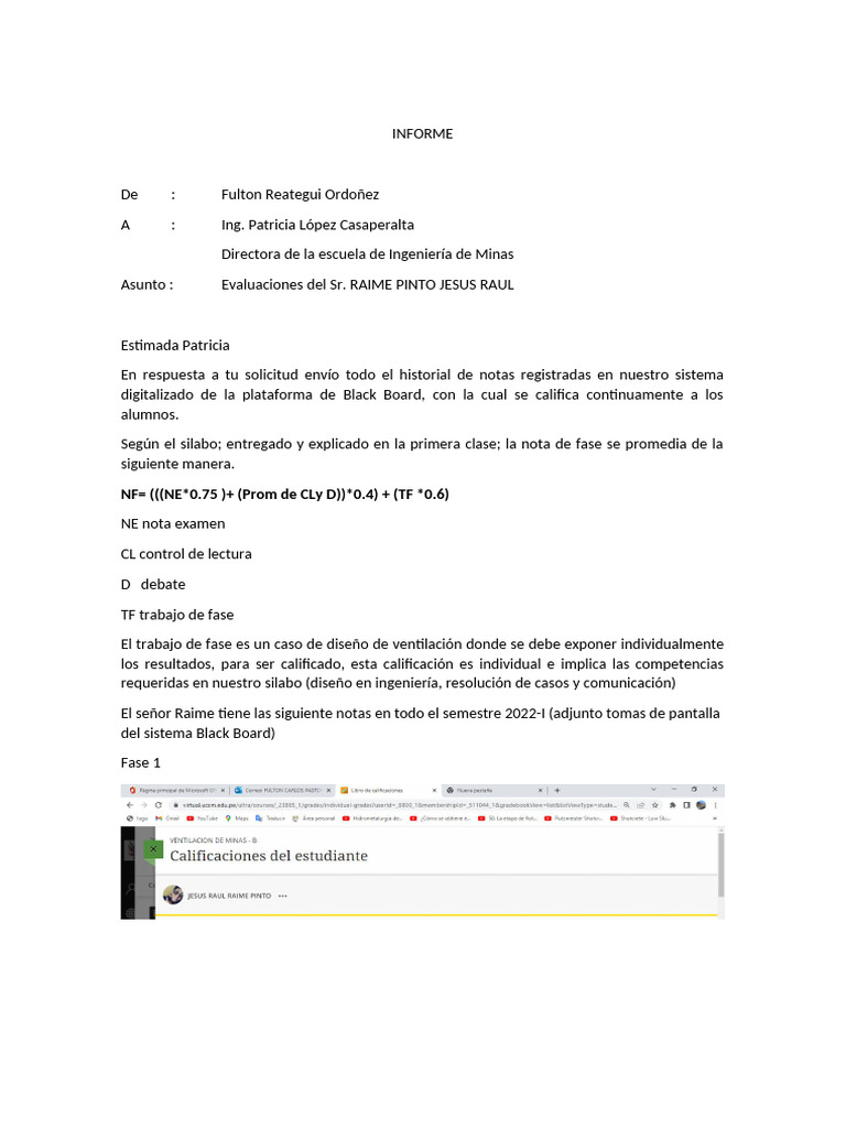 Informe RAIME | PDF