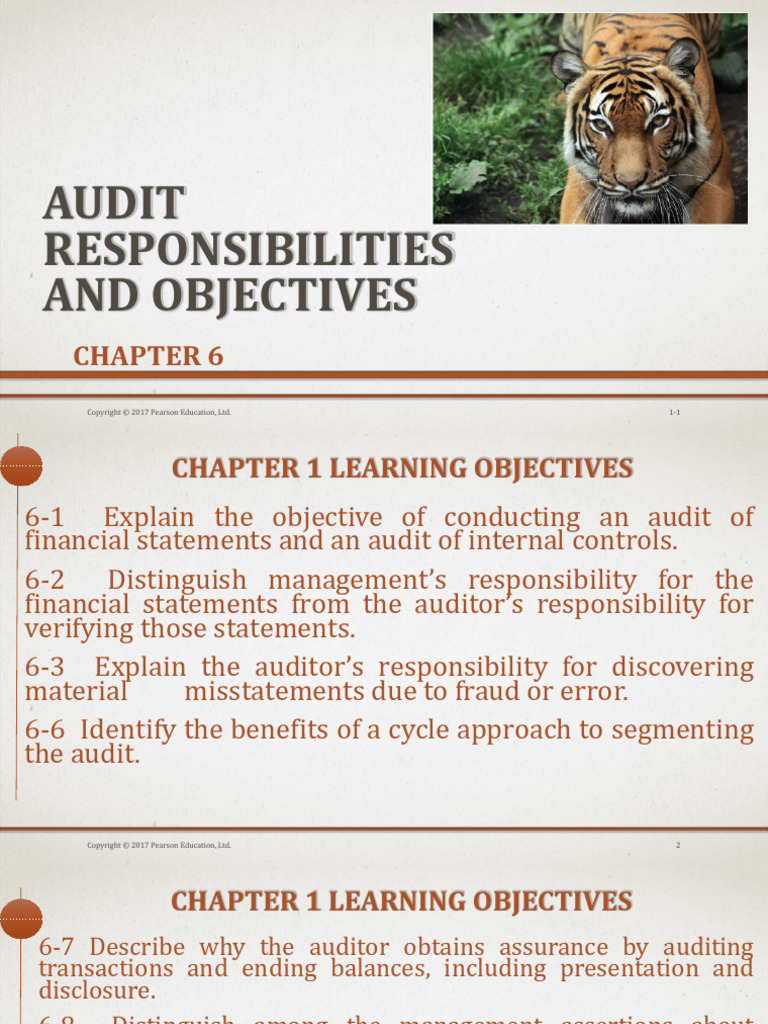 Audit Responsibilities and Objectives Overview | PDF | Audit | Internal ...