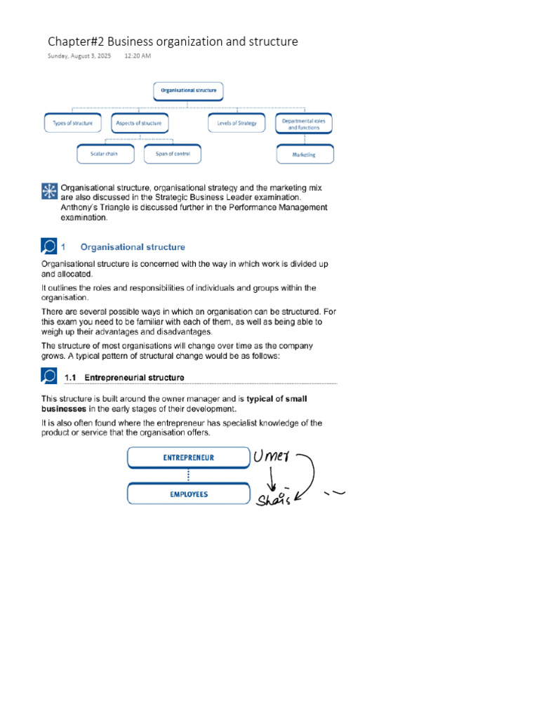 Business Organization Structure Overview | PDF
