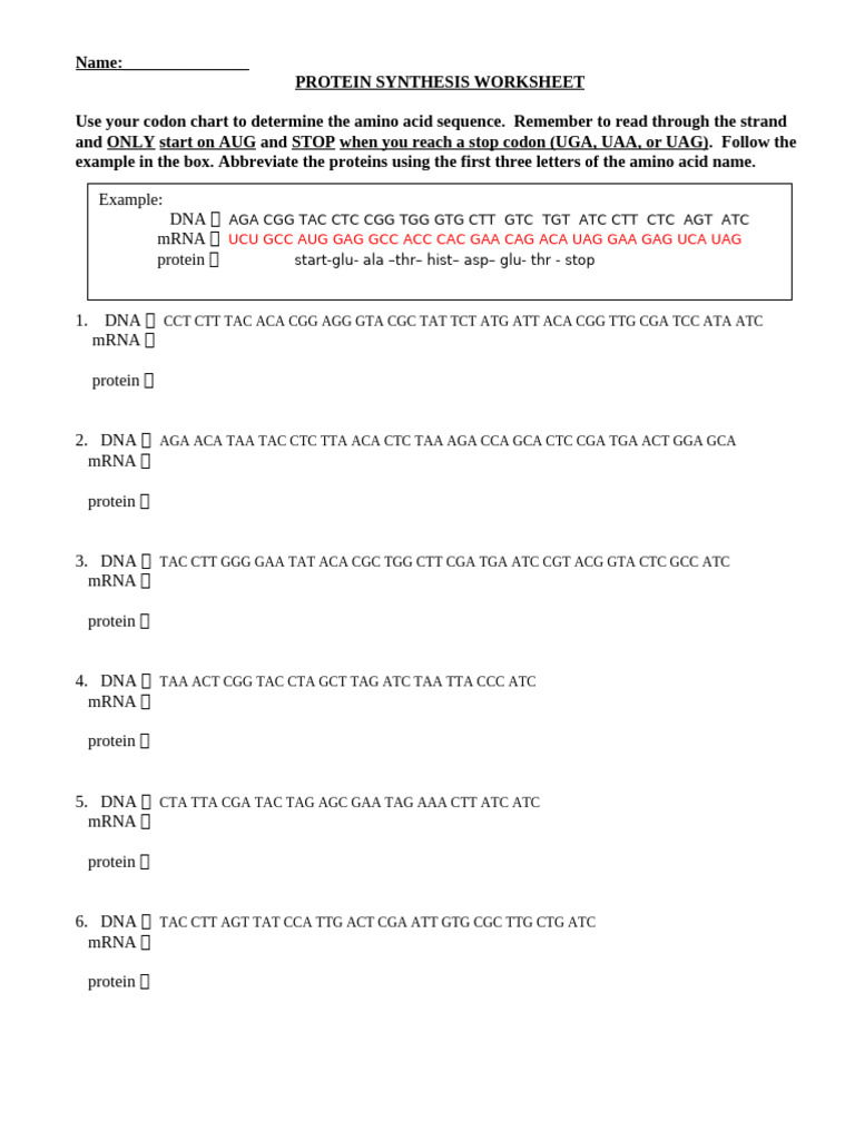 Protein Synthesis Worksheet Guide | PDF