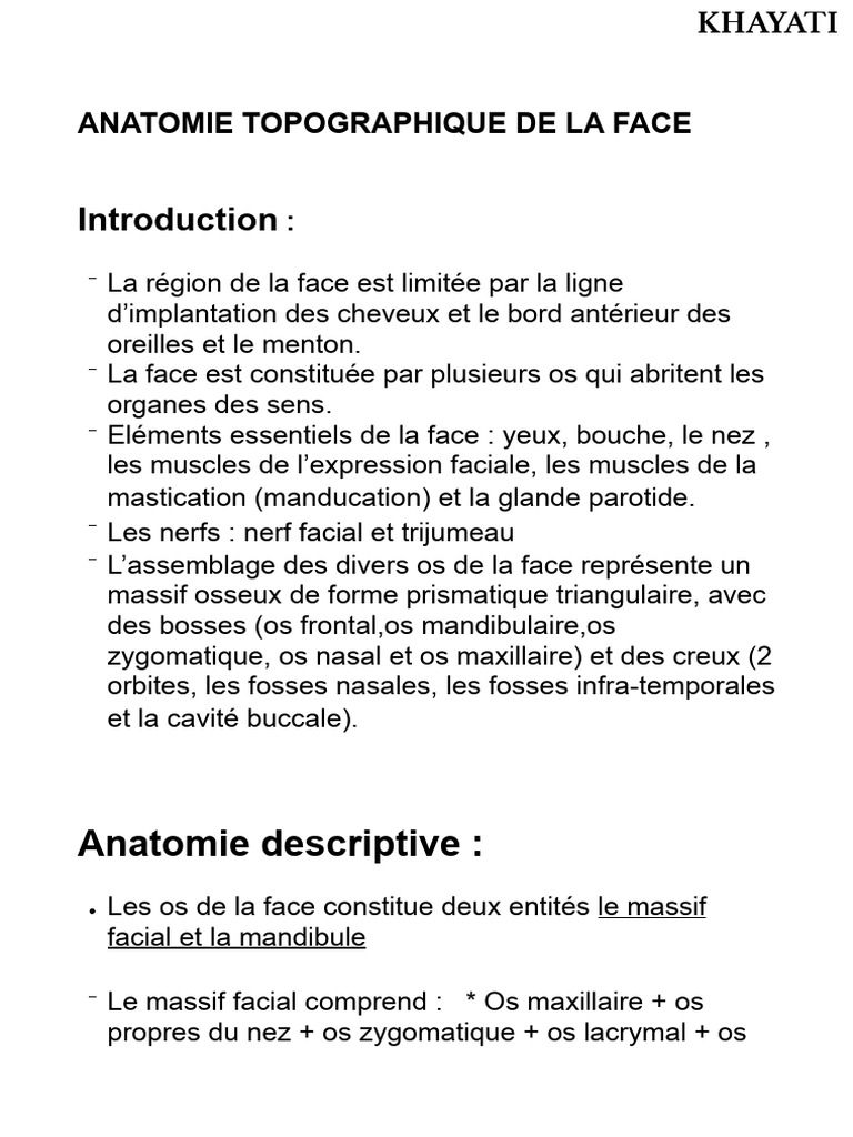 Anatomie de la Face : Os, Muscles et Nerfs | PDF | Anatomie humaine ...