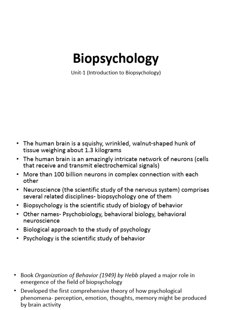 Bio Psych | PDF | Chemical Synapse | Neuron